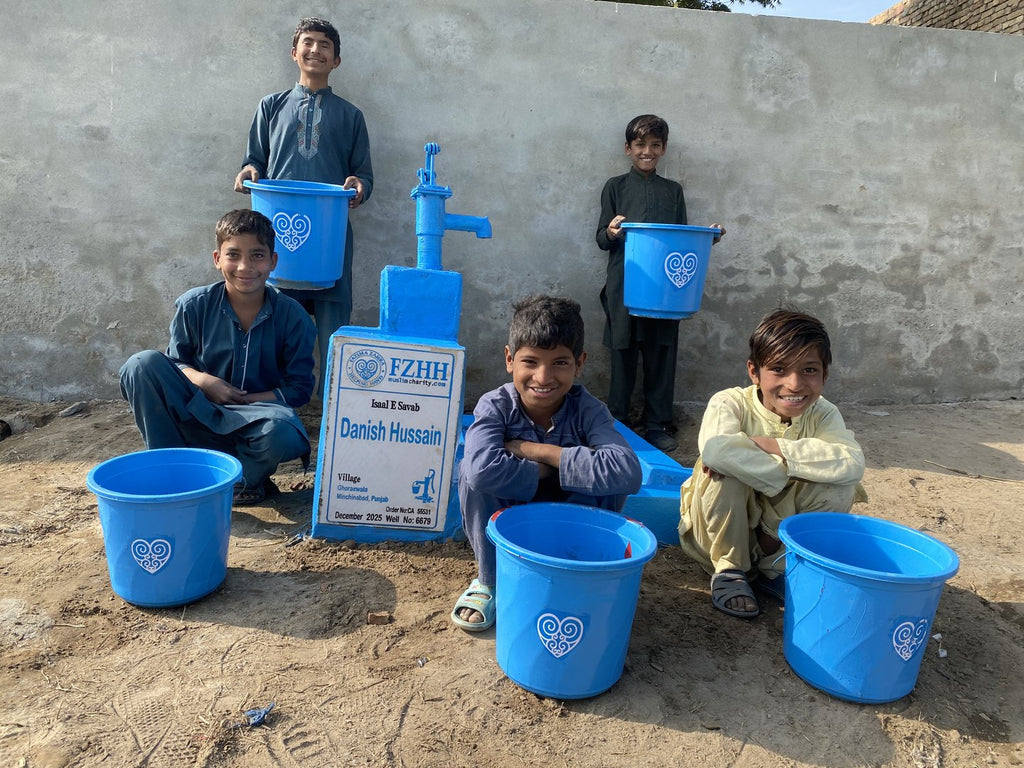 Danish Hussain - Order no. CAN 55531 - Well no. 6679– Sufi Meditation ...