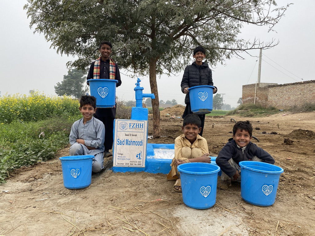 Said Mahmoodi - Order no. CAN 55537 - Well no. 6683– Sufi Meditation ...