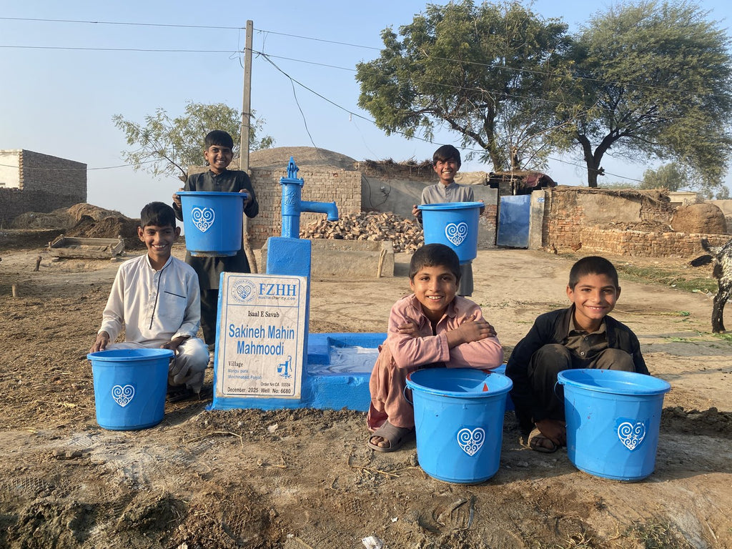 Sakineh Mahin Mahmoodi - Order no. CAN 55534 - Well no. 6680– Sufi ...