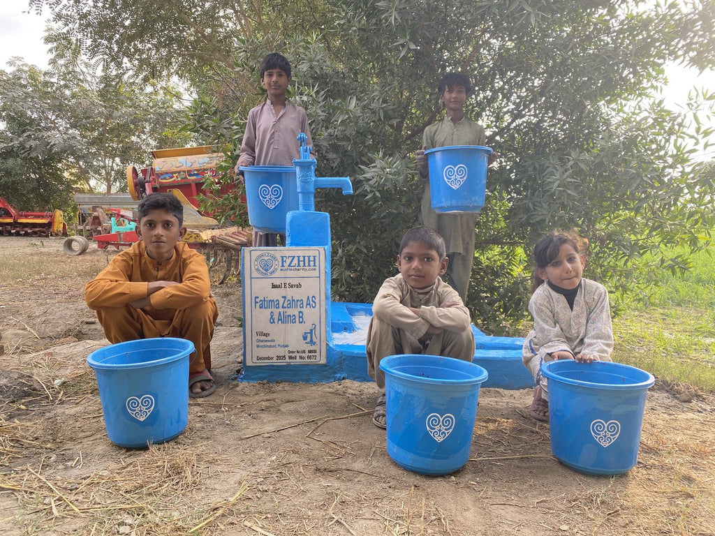 Fatima Zahra AS & Alina B. - Order no. US 88930 - Well no. 6672– Sufi ...