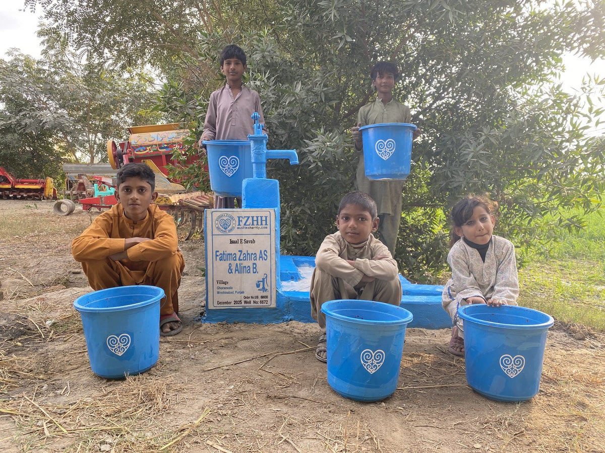 Fatima Zahra AS & Alina B. - Order no. US 88930 - Well no. 6672– Sufi ...