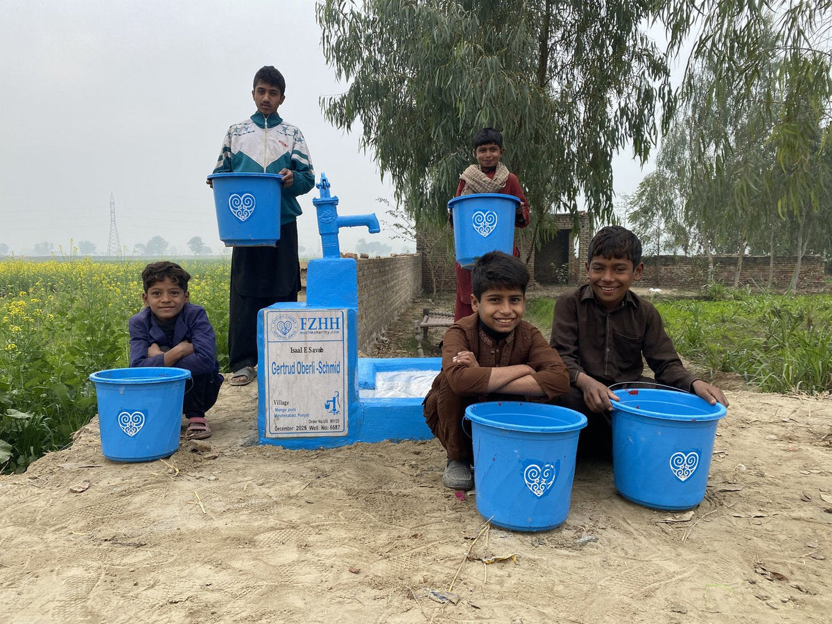 Gertrud Oberli-Schmid - Order no. US 89125 - Well no. 6687– Sufi ...