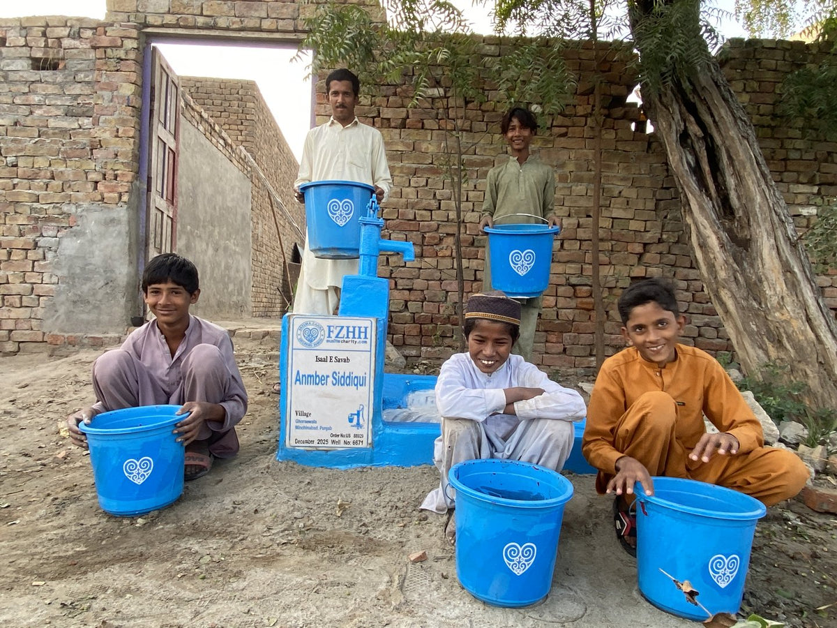 Anmber Siddiqui - Order no. US 88929 - Well no. 6671– Sufi Meditation ...