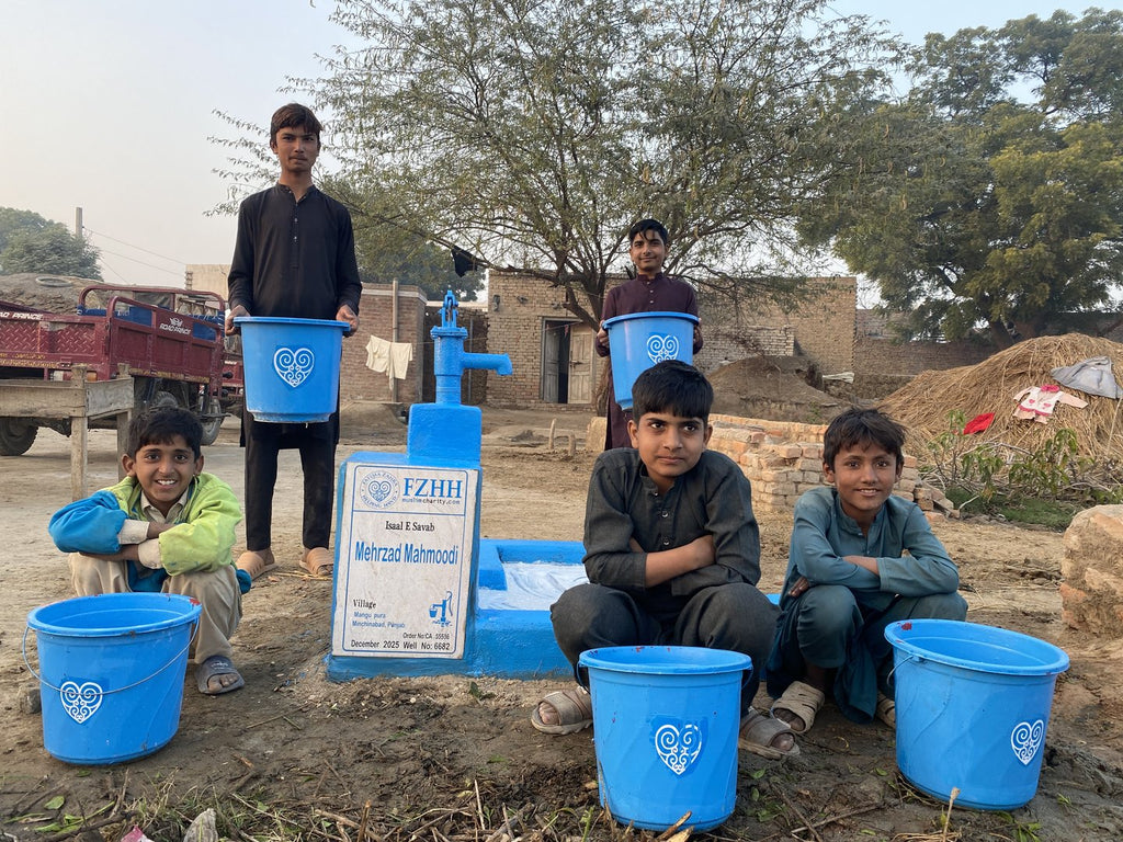 Mehrzad Mahmoodi - Order no. CAN 55536 - Well no. 6682– Sufi Meditation ...