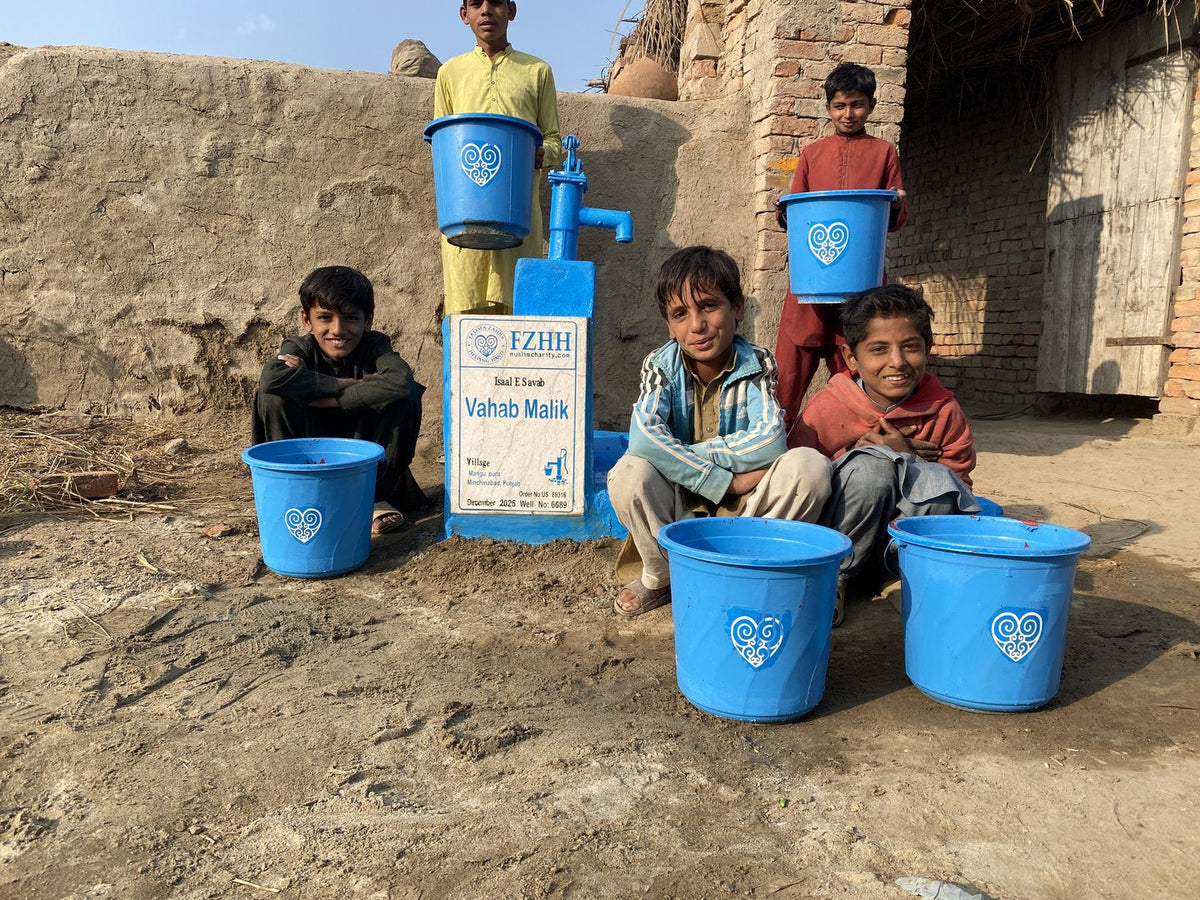 Vahab Malik - Order no. US 89316 - Well no. 6689– Sufi Meditation ...